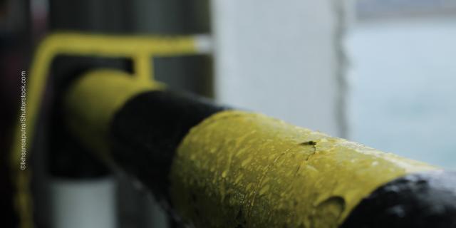 Protection collective | Prevent