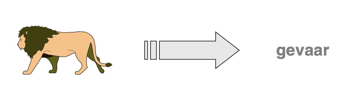 Gevaar of risico? | Prevent