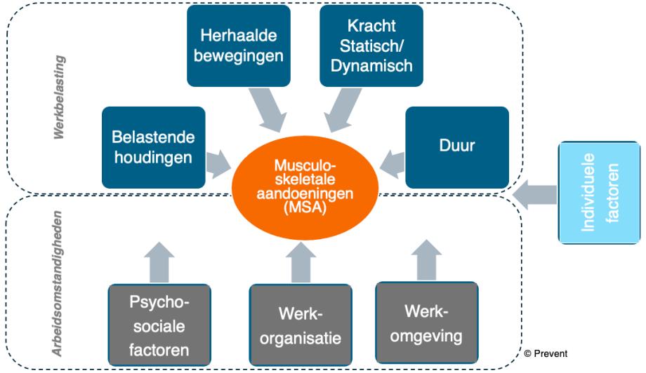Musculoskeletale aandoeningen | Prevent